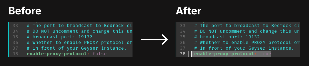 Setup Proxy Protocol in GeyserMC | playit.gg - support pages