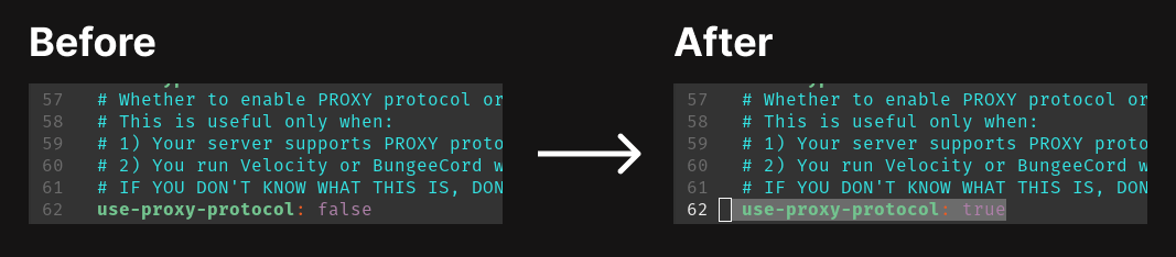 Setup Proxy Protocol in GeyserMC | playit.gg - support pages